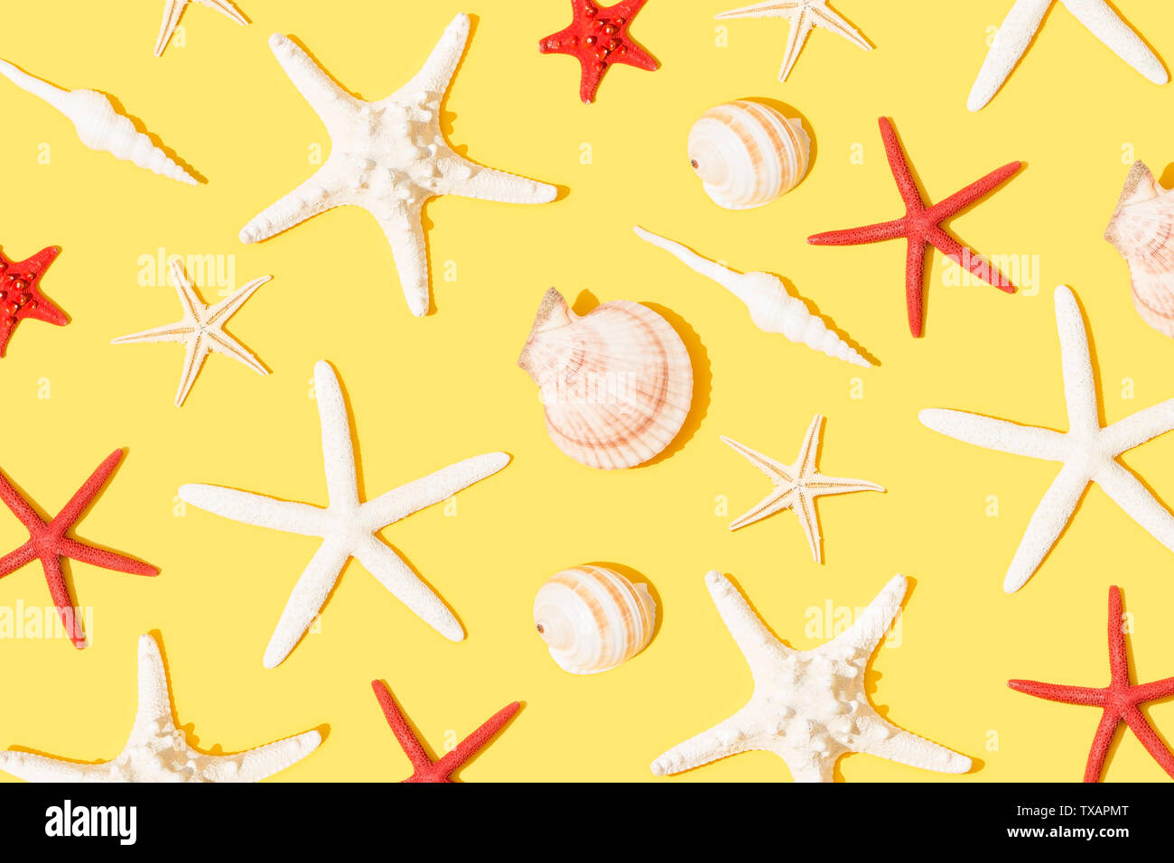 Seamless seashell pattern hi-res stock photography and images - Alamy