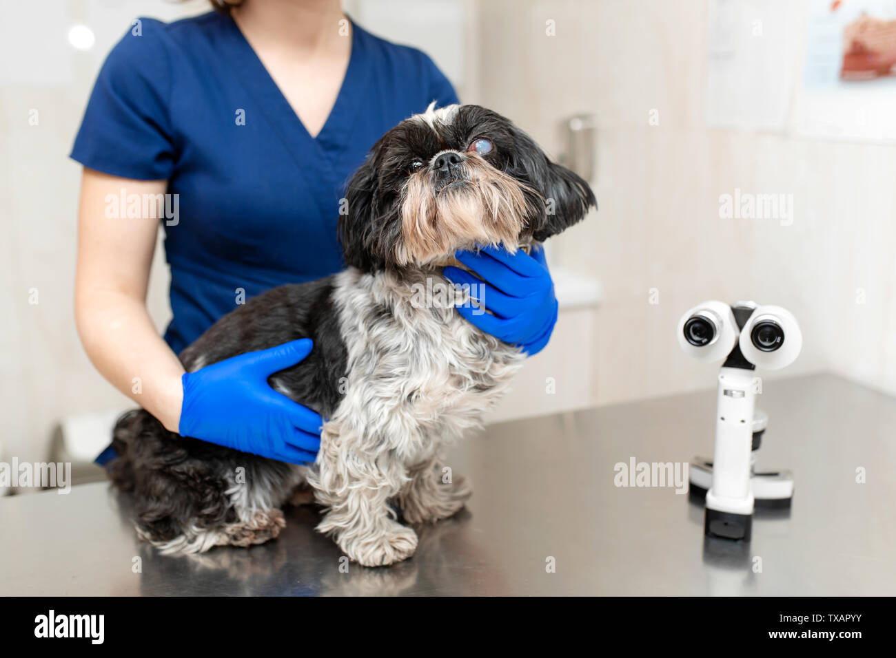 Glaucoma Eye High Resolution Stock Photography and Images - Alamy