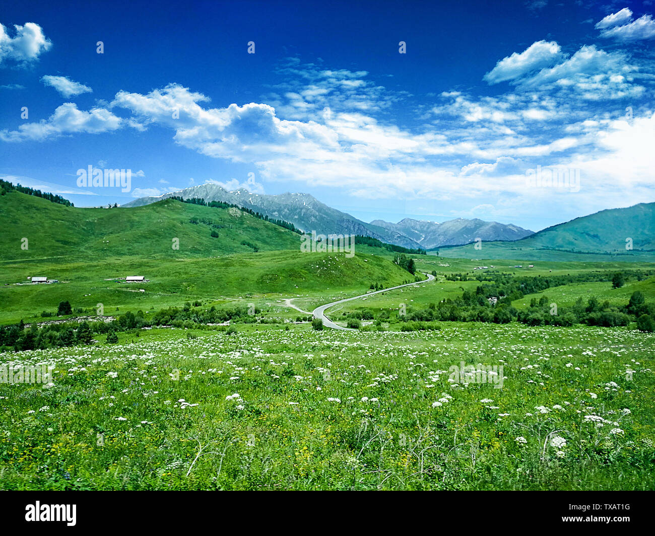 Summer in Burjin, Xinjiang Stock Photo - Alamy