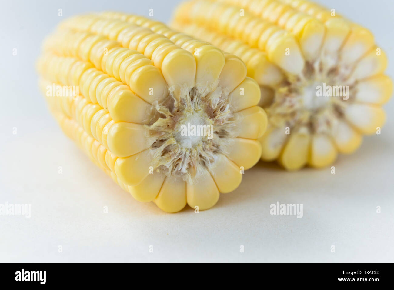 Corn cross section hi-res stock photography and images - Alamy