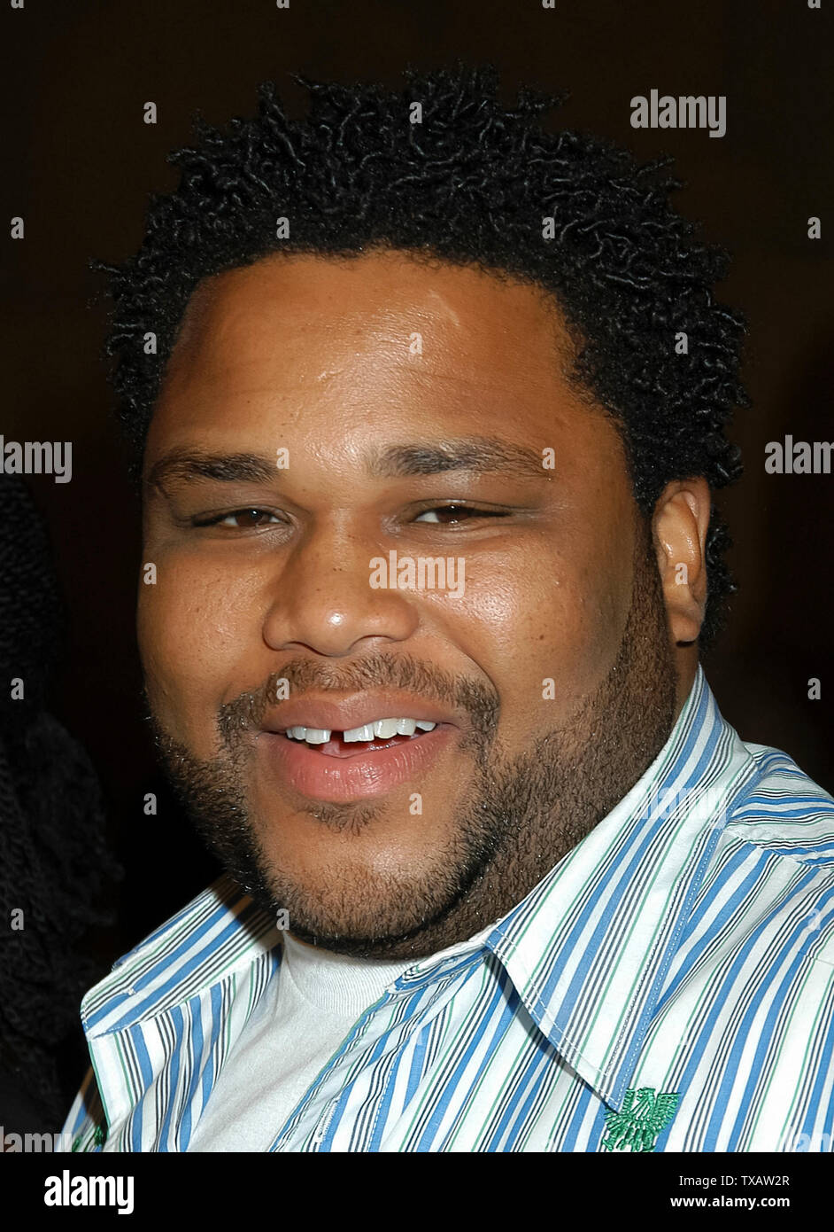 Anthony Anderson at the Premiere of "My Baby's Daddy" at the Egyptian ...