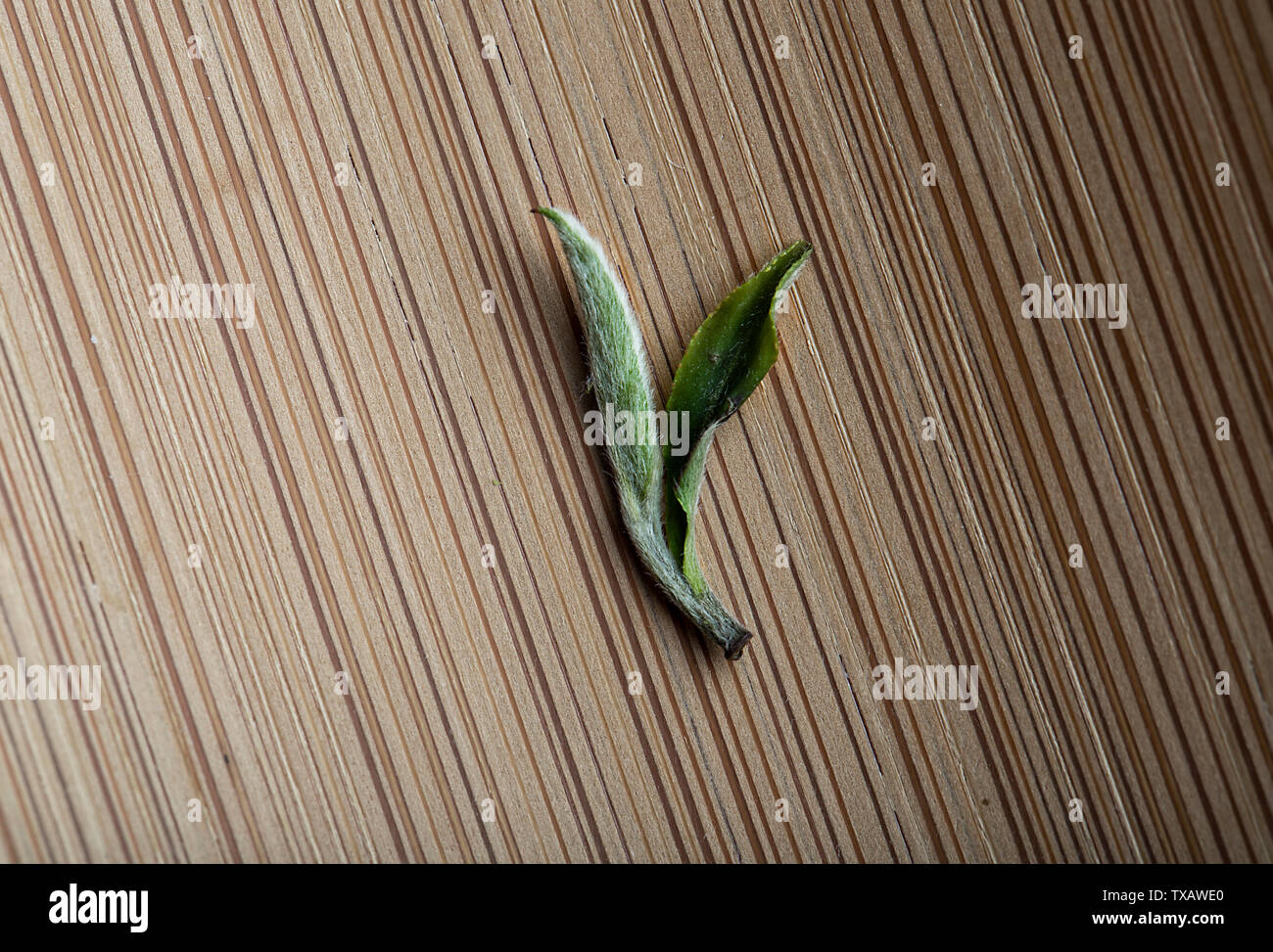 Huangshan Mao Feng, with one bud and one leaf as the highest level ...