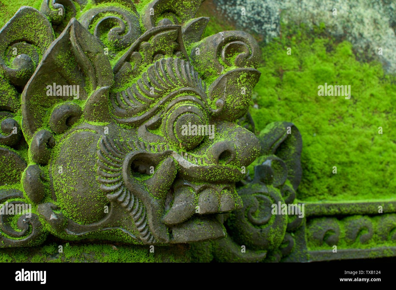 Animism mask hi-res stock photography and images - Alamy