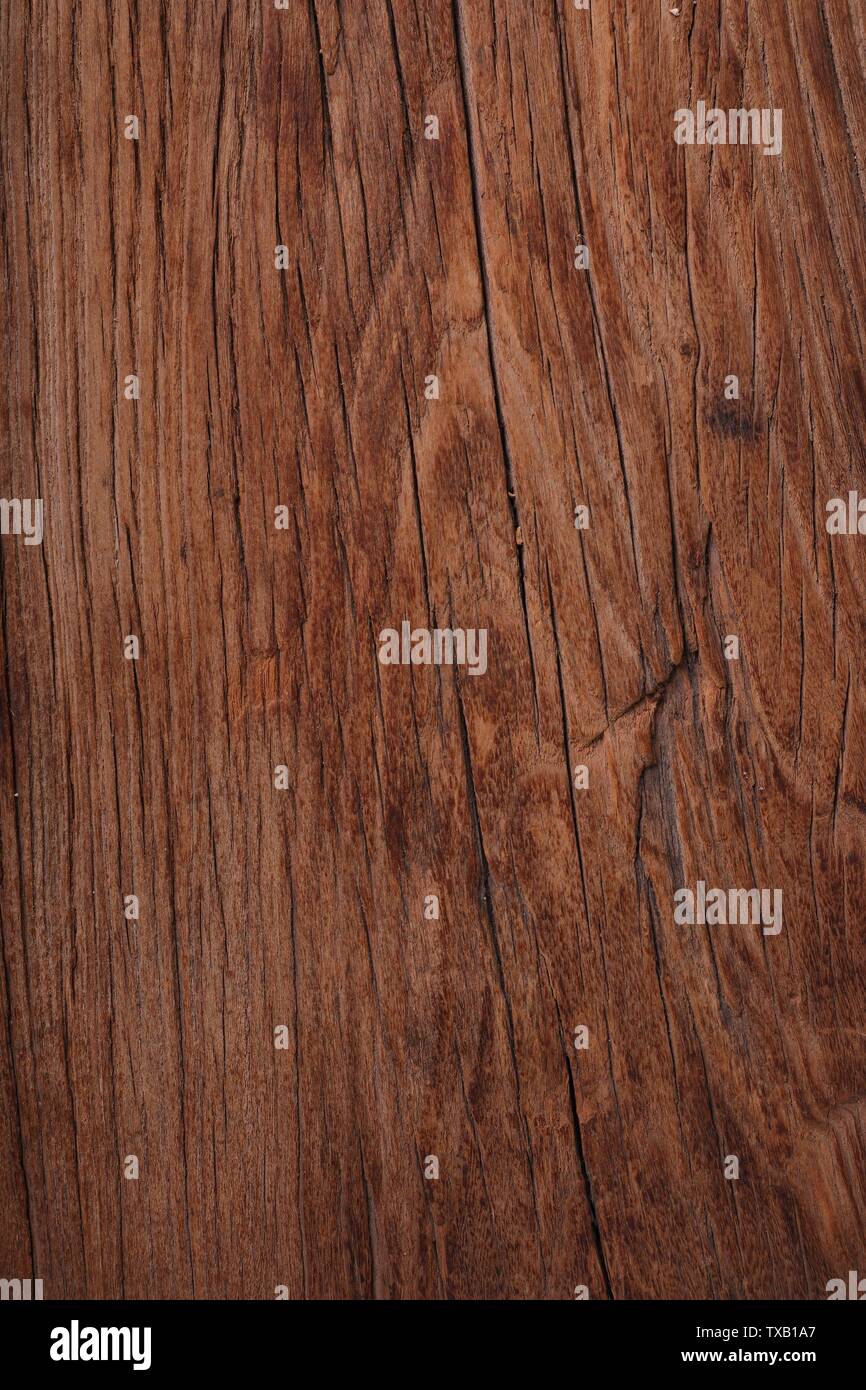 Texture of old elm board Stock Photo - Alamy