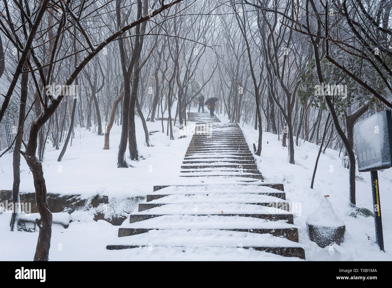 Nanjing snow scenery hi-res stock photography and images - Alamy