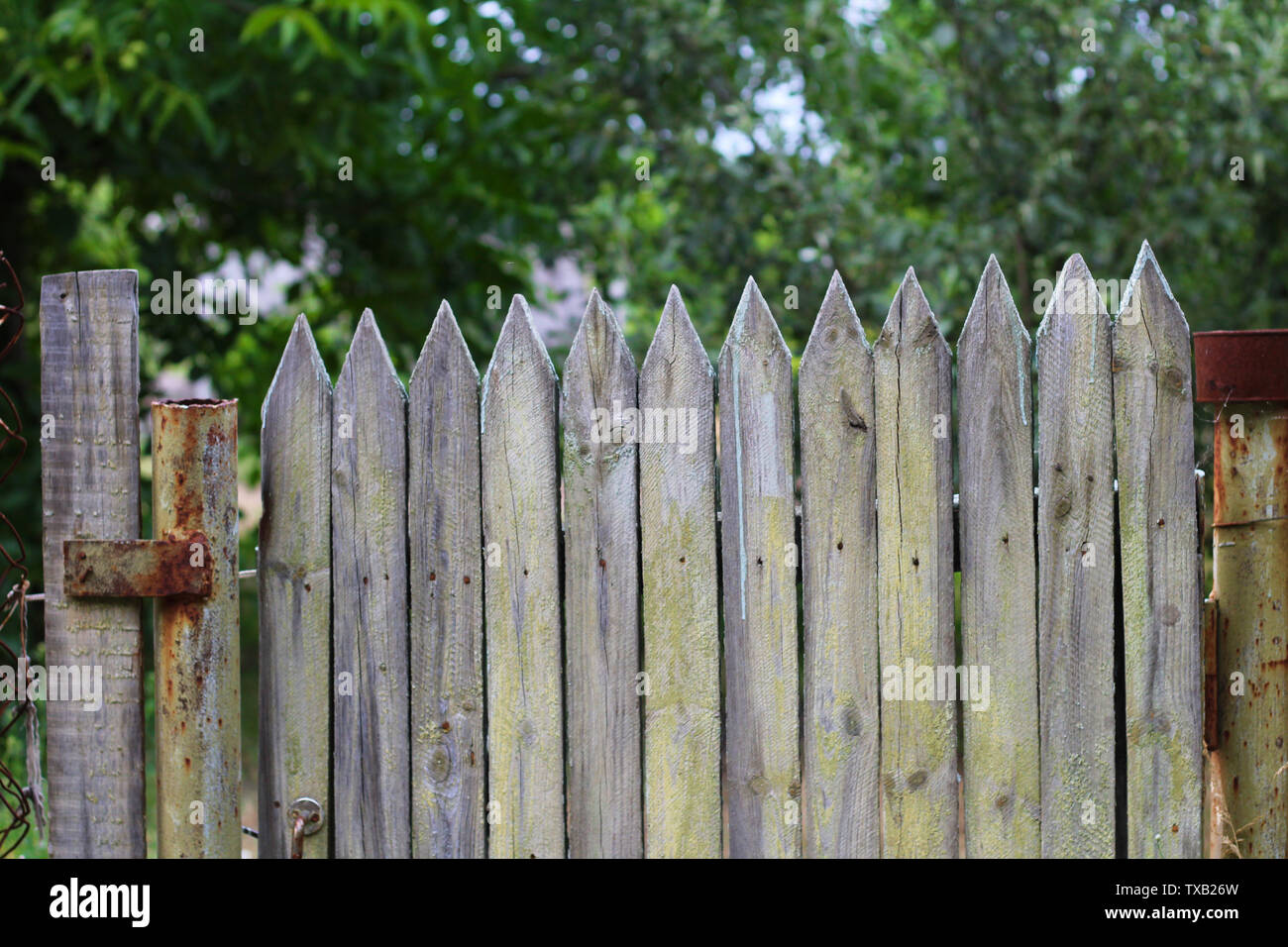 Old vintage wooden picket gate with peeled paint Stock Photo - Alamy