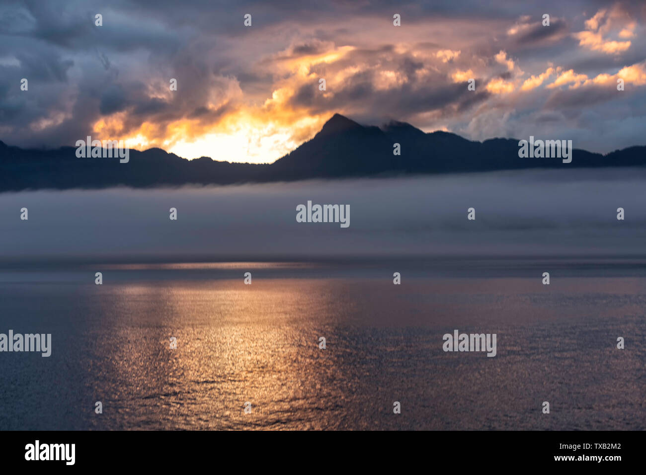 Inside fog hi-res stock photography and images - Alamy