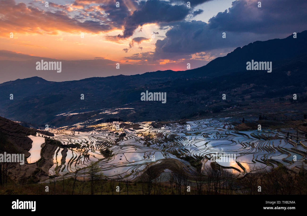 Doyi tree viewing platform hi-res stock photography and images - Alamy