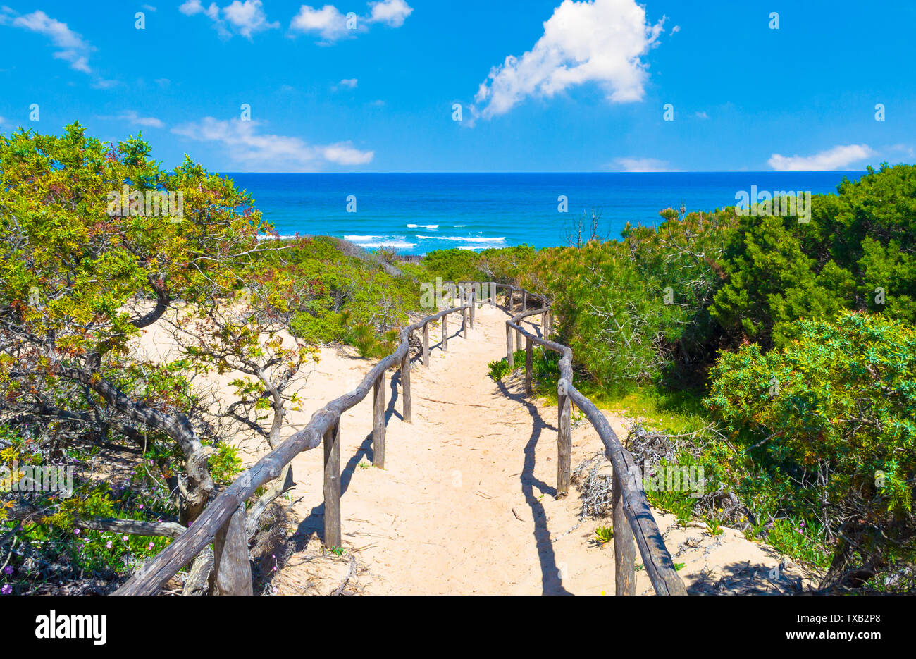 Sandy path beach through trees hi-res stock photography and images - Alamy