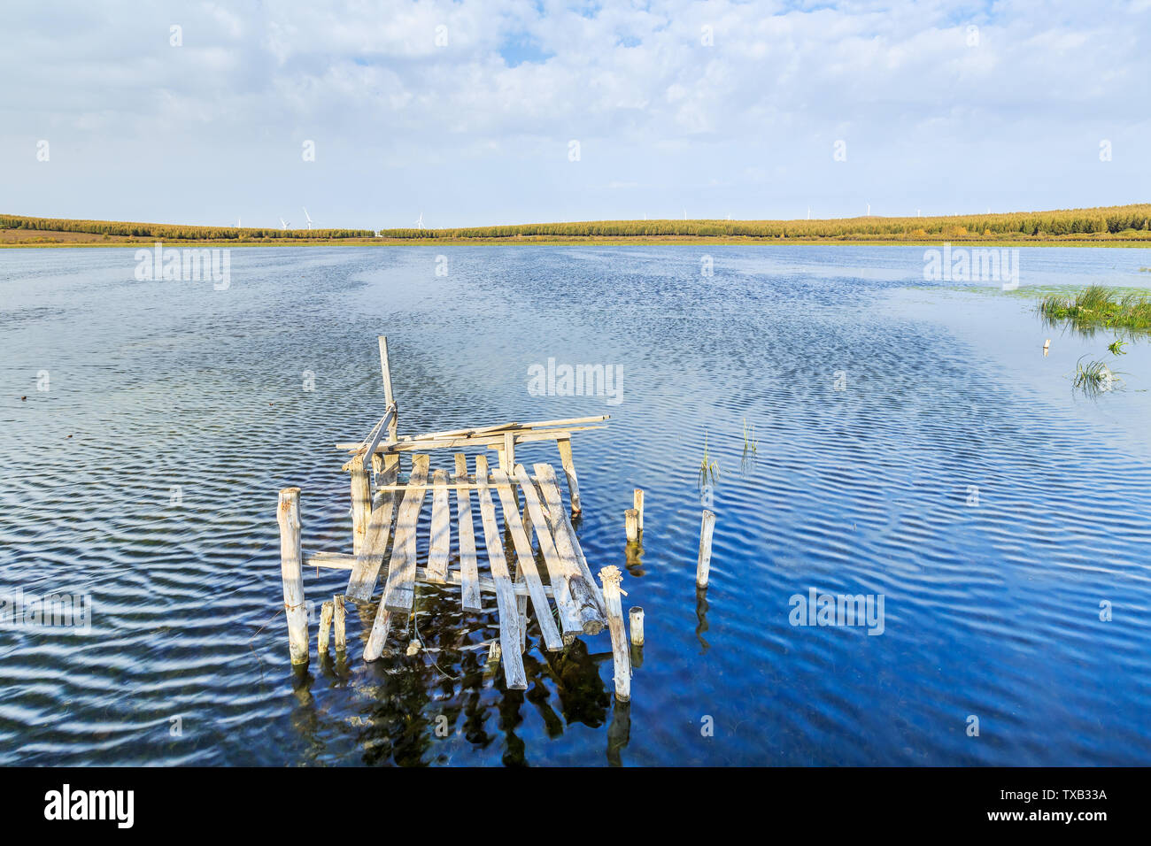 Daylight and pastime in summer with nature and comfortable weather hi ...