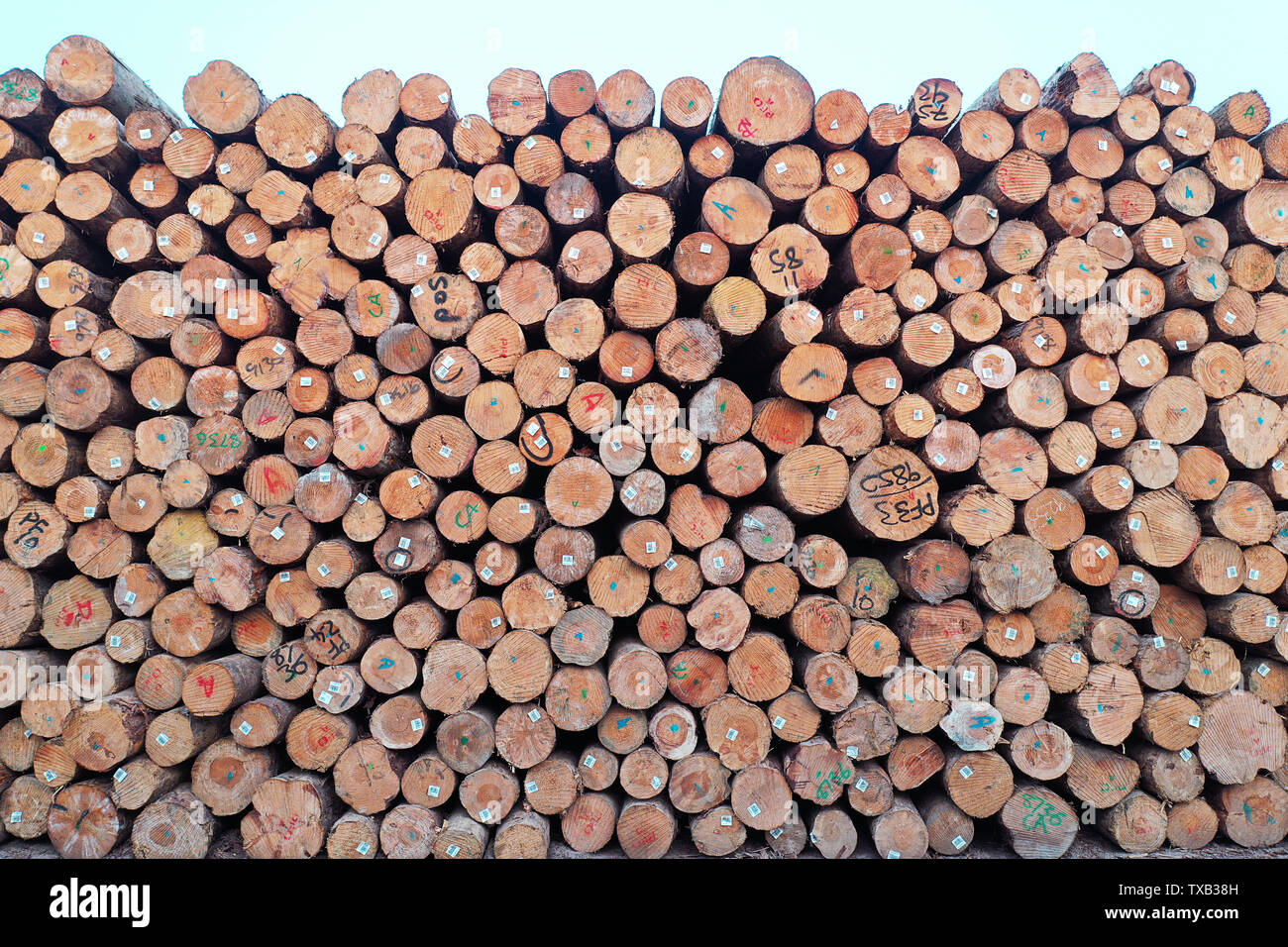 Round bulk hi-res stock photography and images - Alamy