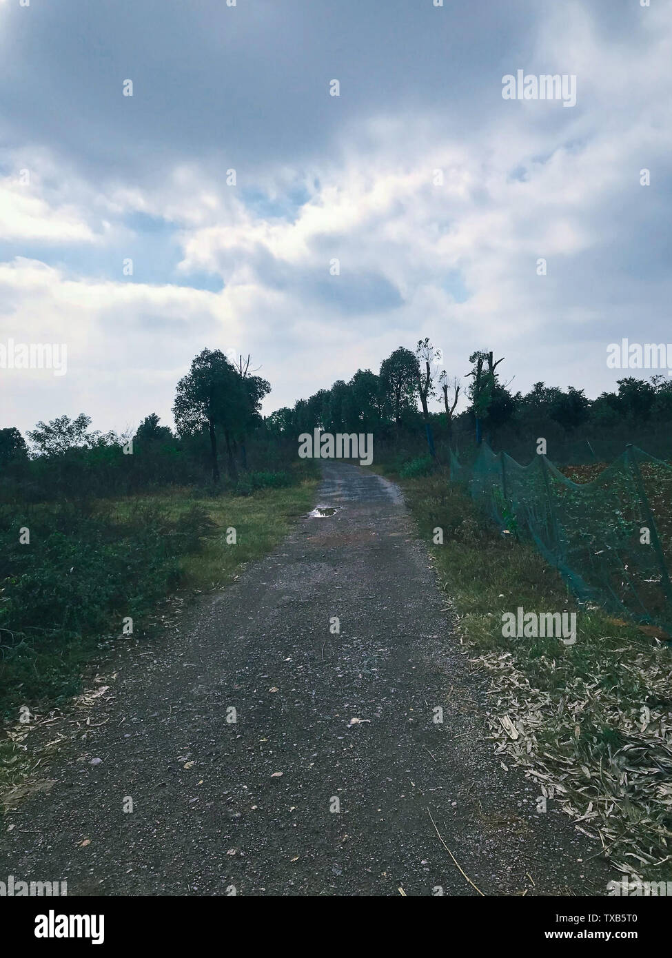 A cloudy path Stock Photo - Alamy