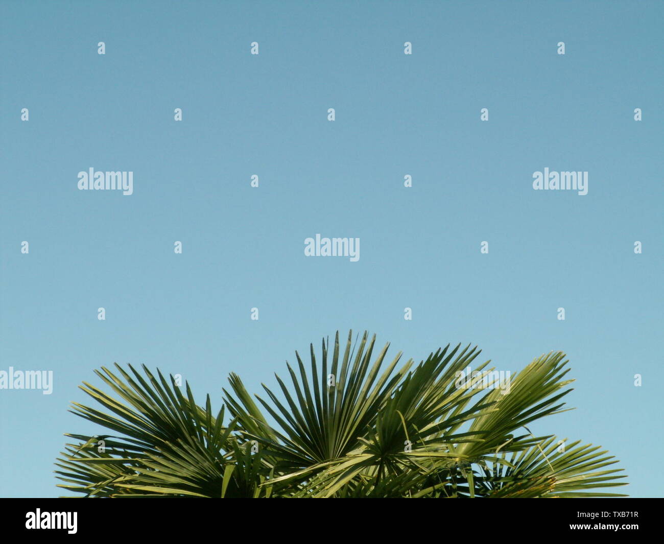 Fotograf High Resolution Stock Photography and Images - Alamy