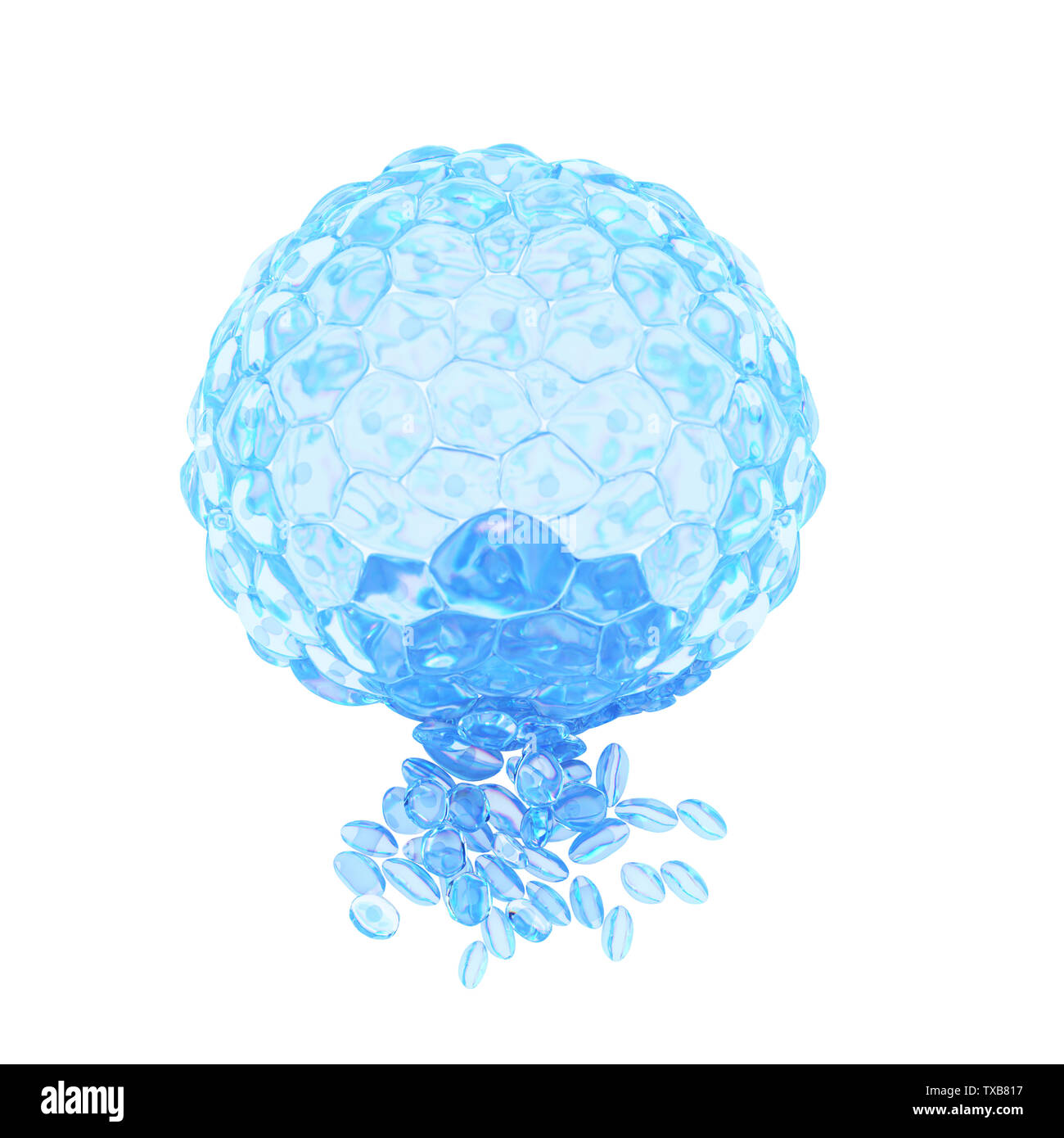 Human blastocyst microscope hi-res stock photography and images - Alamy