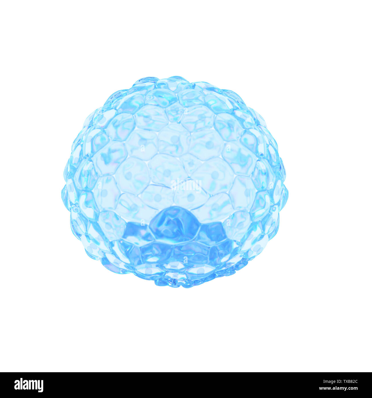 Human blastocyst microscope hi-res stock photography and images - Alamy