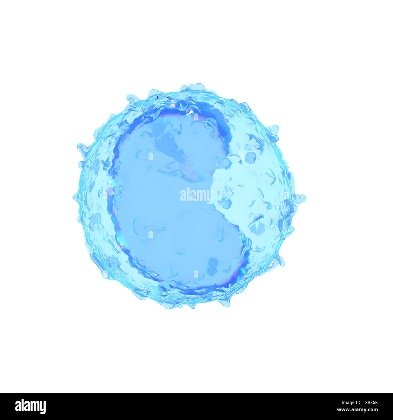 Monocyte hi-res stock photography and images - Alamy
