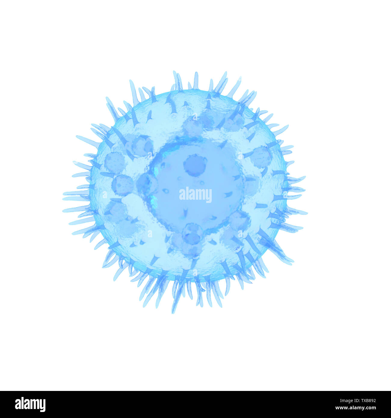 3d rendered medically accurate illustration of a mastcell Stock Photo ...