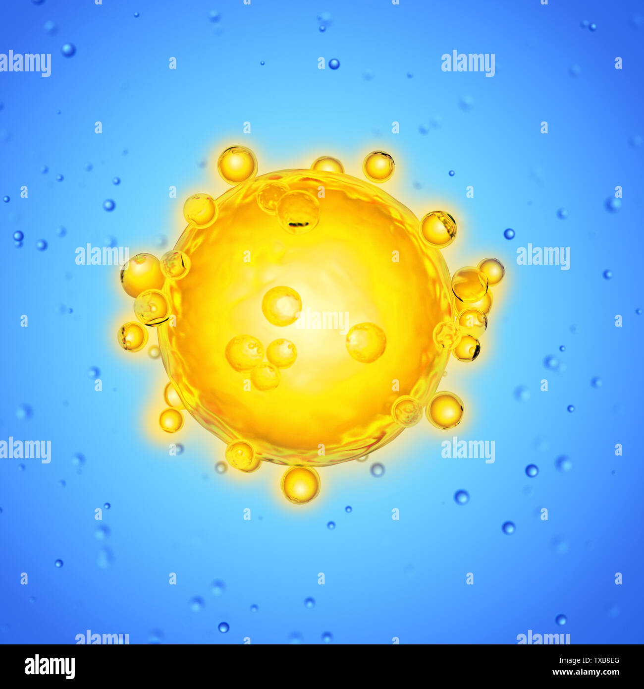 Human Egg Cell Microscope High Resolution Stock Photography and Images ...