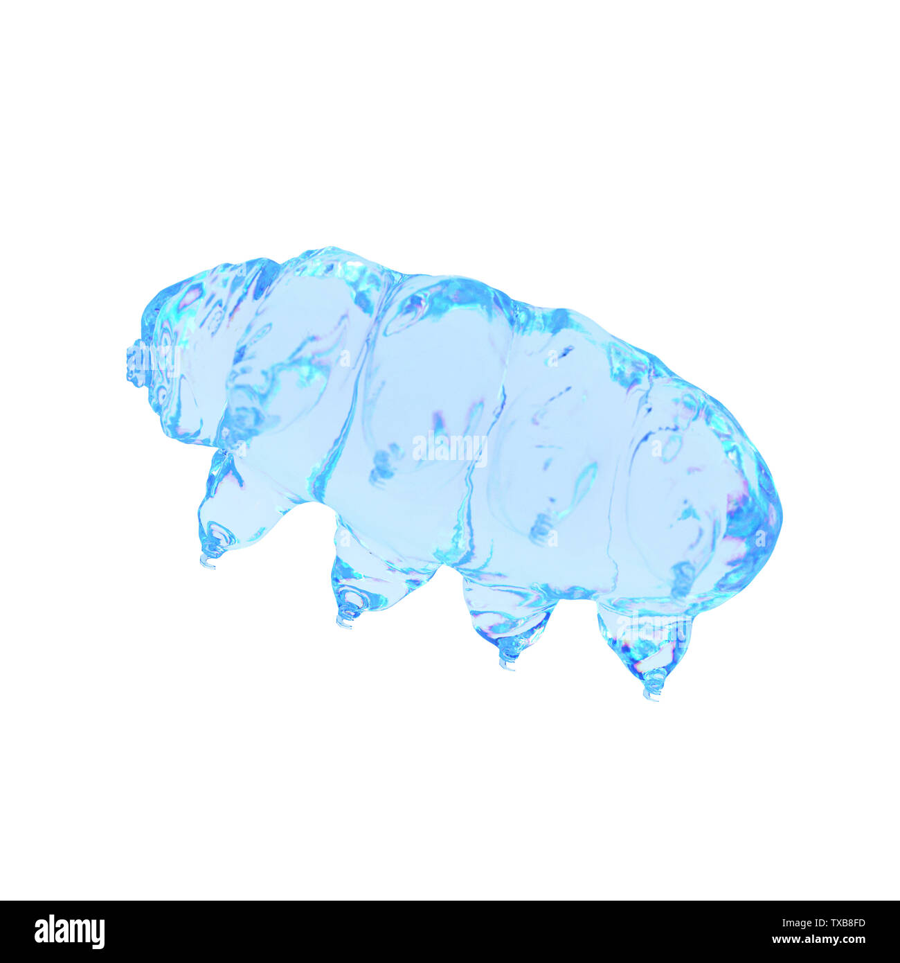3d rendered illustration of a water bear Stock Photo - Alamy