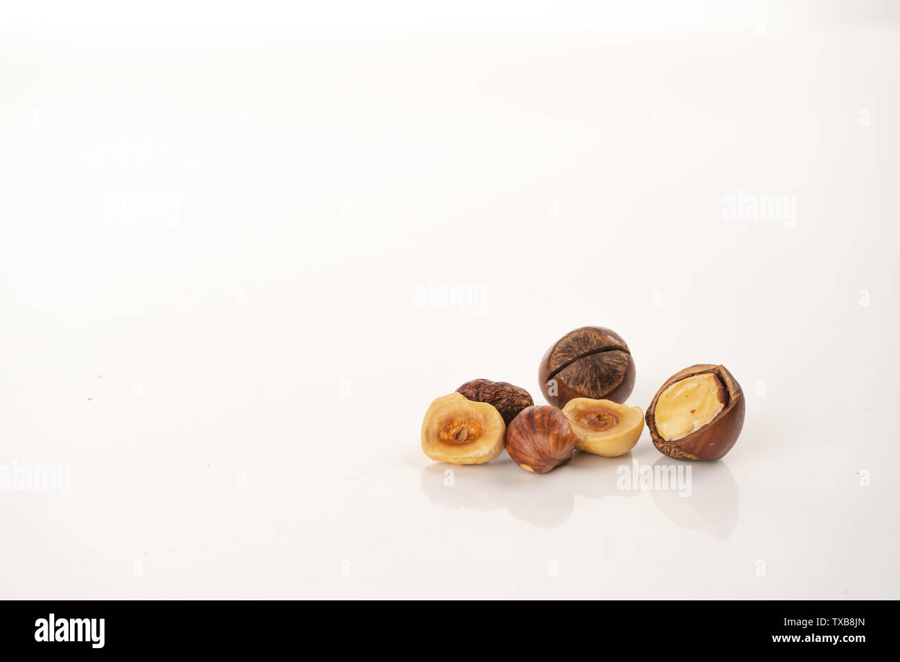 Northeast characteristic open hazelnut Stock Photo - Alamy