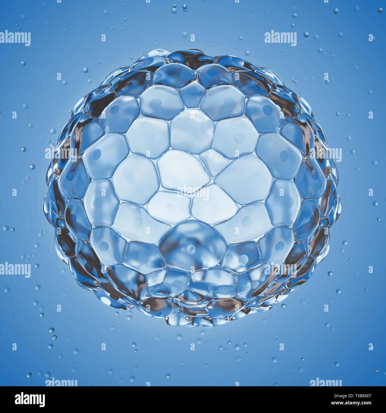Human blastocyst microscope hi-res stock photography and images - Alamy