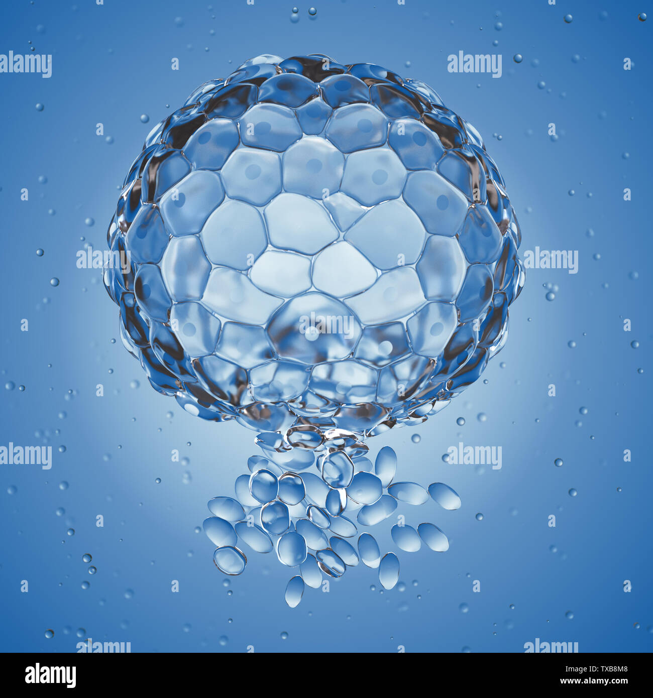 Human blastocyst microscope hi-res stock photography and images - Alamy