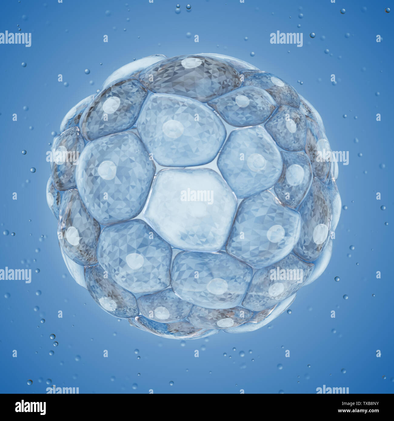 Human blastocyst microscope hi-res stock photography and images - Alamy