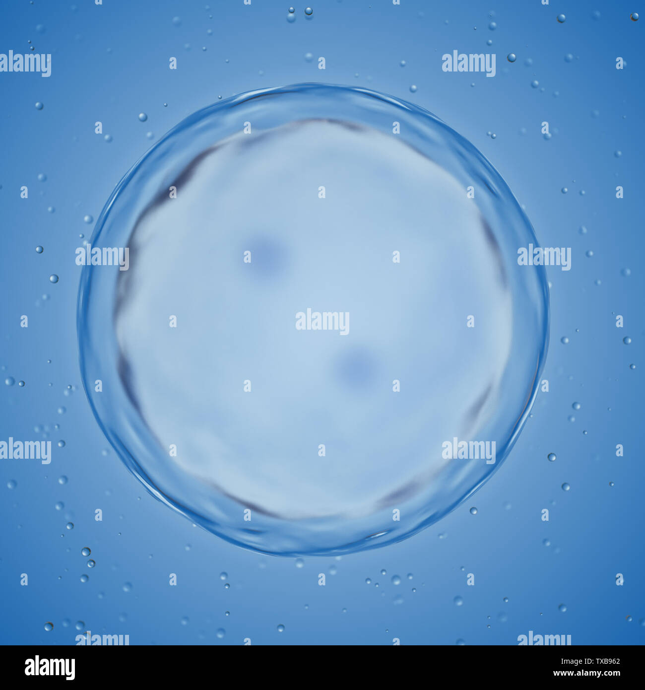 Human egg cell microscope hi-res stock photography and images - Alamy