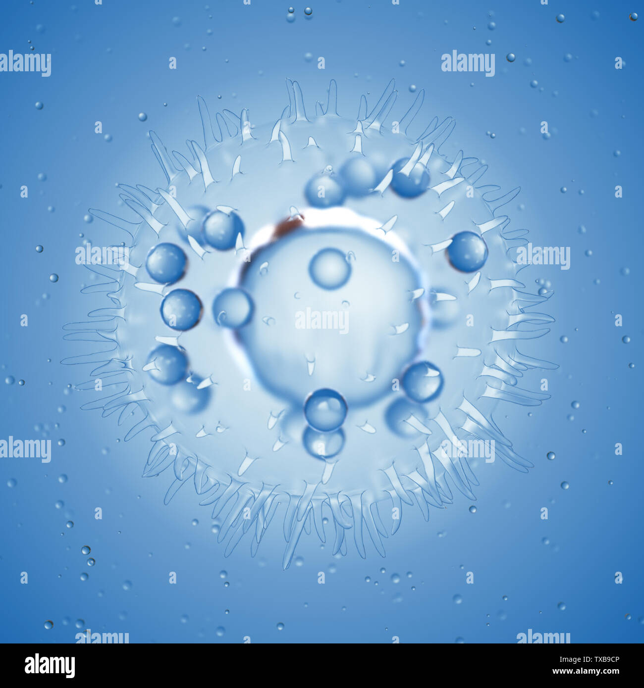 3d rendered medically accurate illustration of a mastcell Stock Photo ...