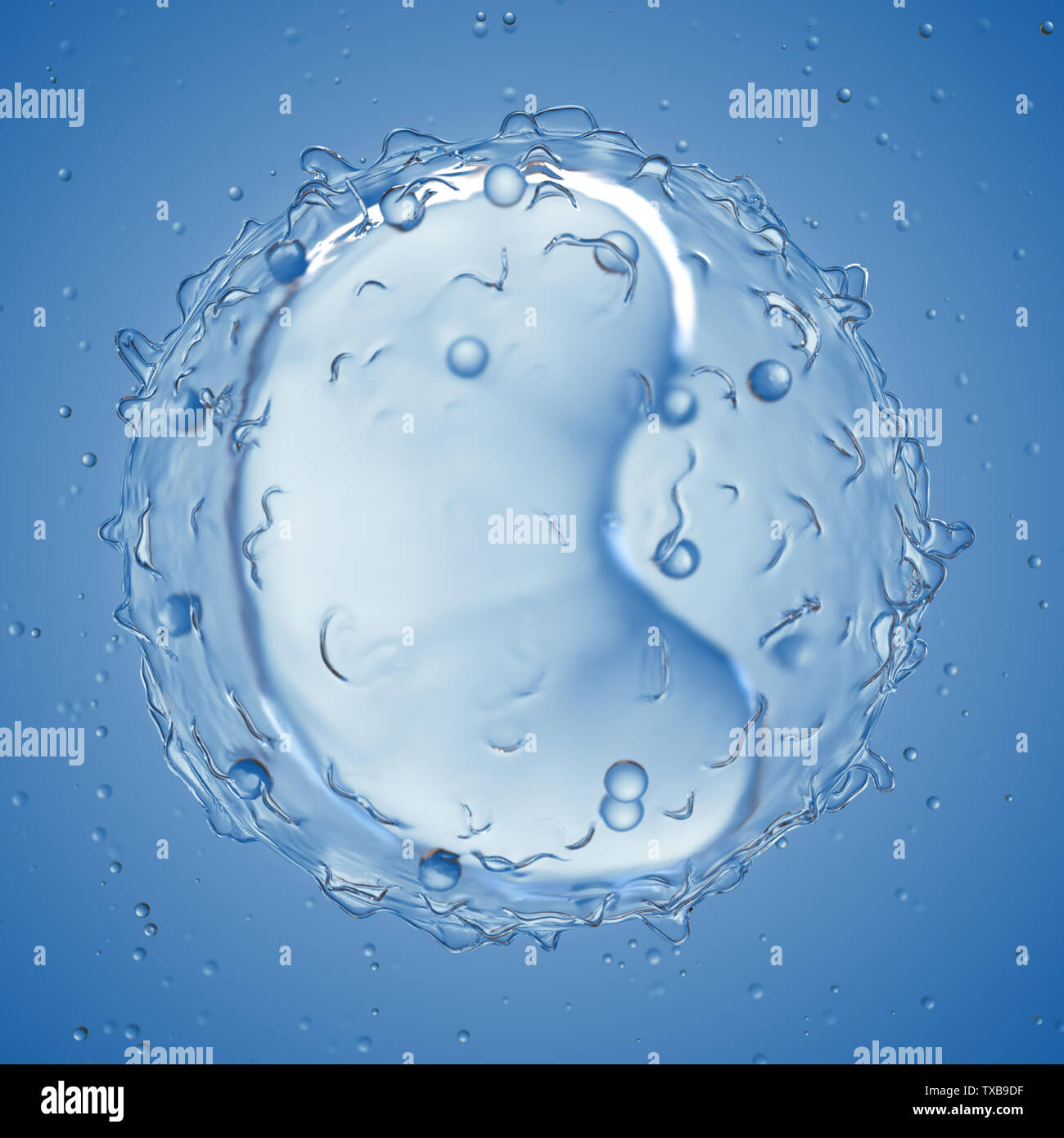 Monocyte hi-res stock photography and images - Alamy