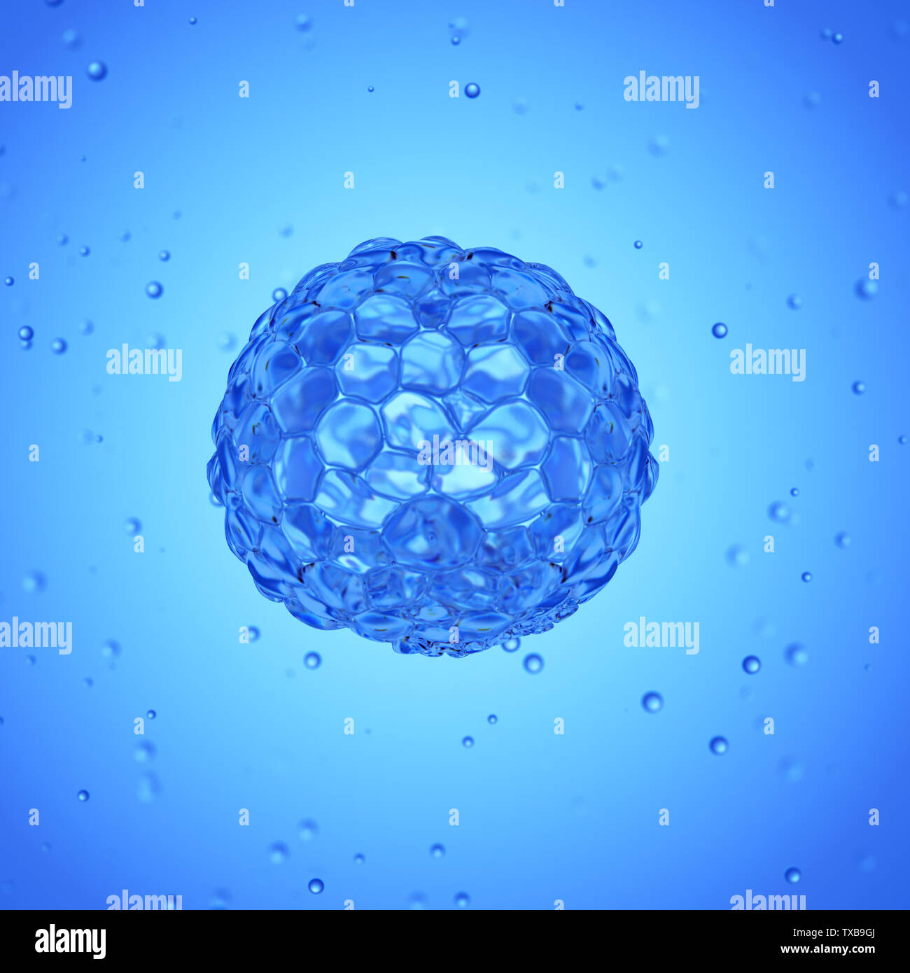 Blastocyst human hi-res stock photography and images - Alamy