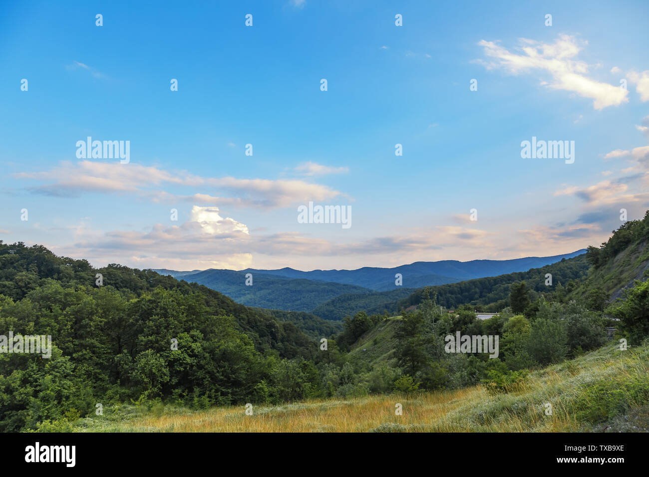 Beautiful adventurous background with trees and montains on the side ...