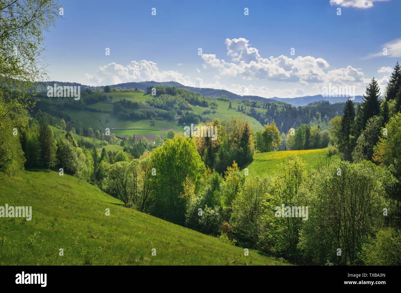 Beautiful spring mountain landscape. Charming views of the hills with ...