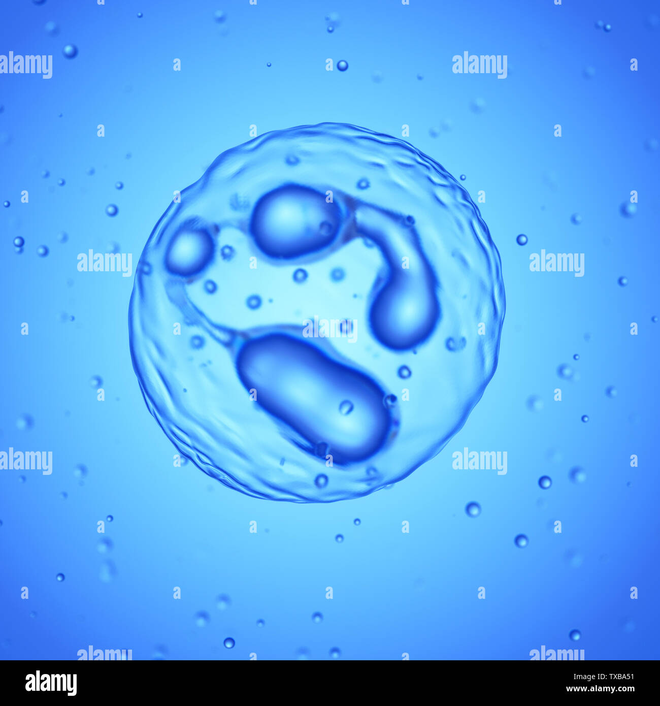 Neutrophile hi-res stock photography and images - Alamy
