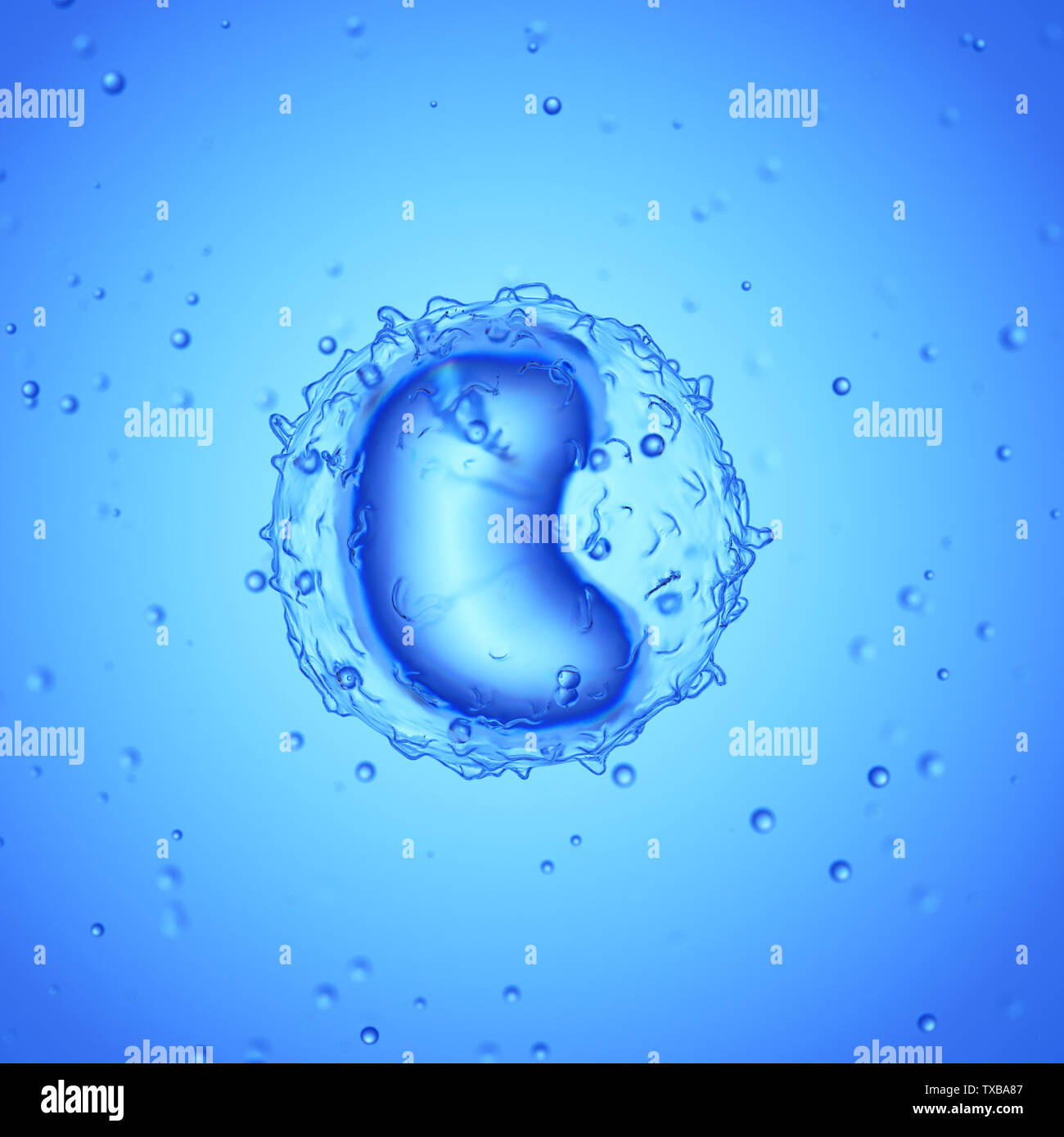 3d rendered medically accurate illustration of a monocyte Stock Photo ...