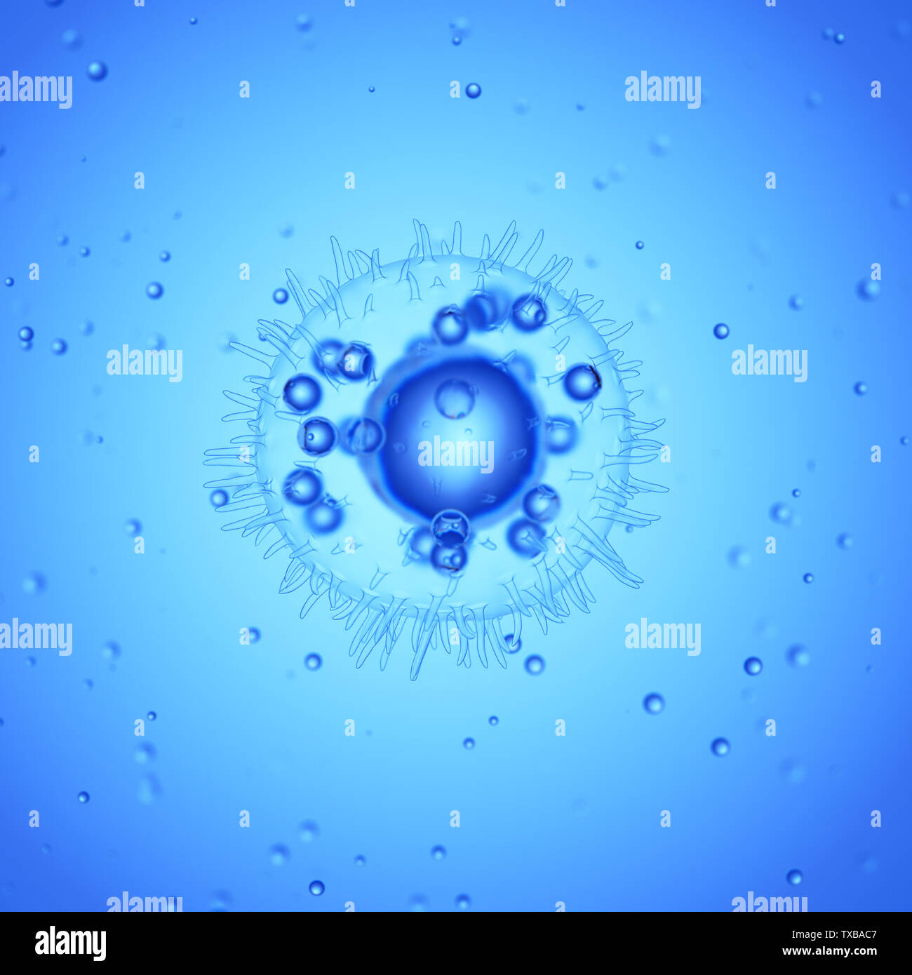 3d rendered medically accurate illustration of a mastcell Stock Photo ...