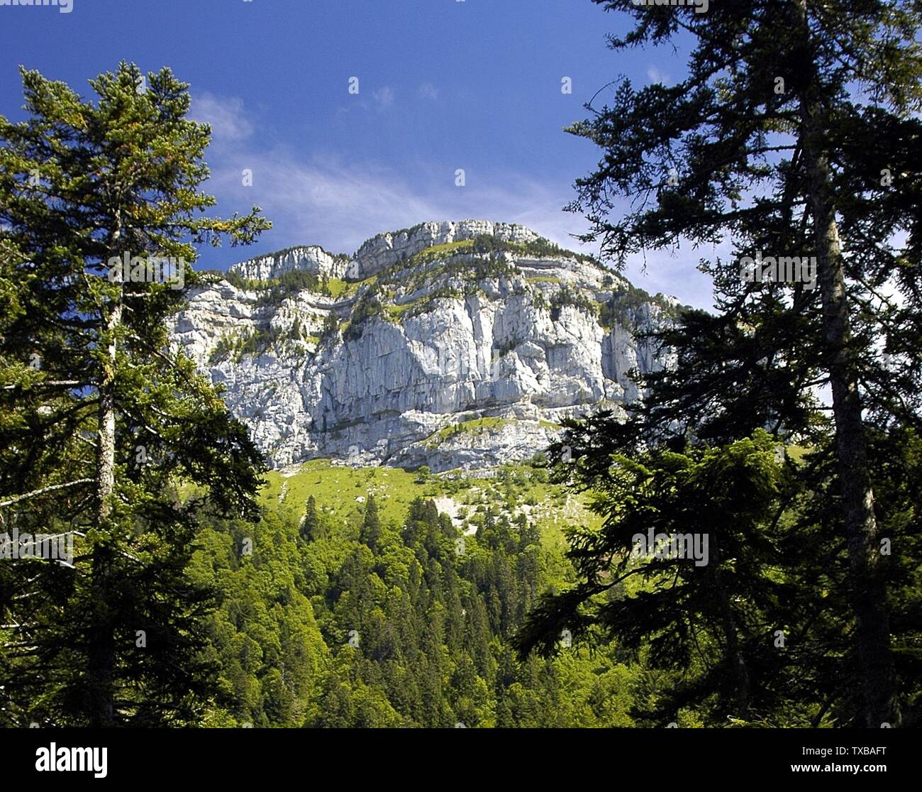 Falaise de plateau hi-res stock photography and images - Alamy