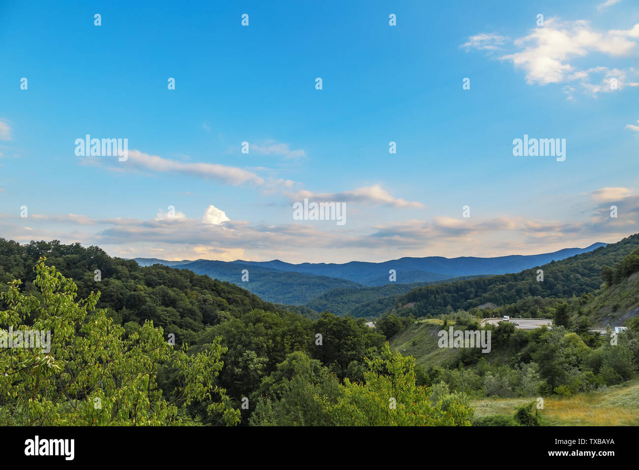 Beautiful adventurous background with trees and montains on the side ...
