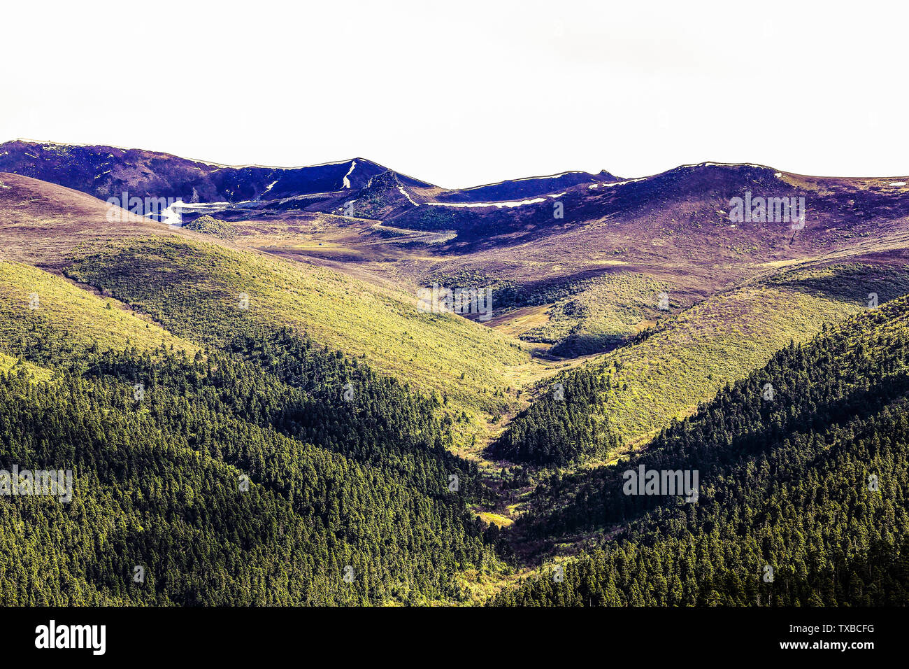 Scenery of Lulang Linhai in Yingzhi region, Tibet Stock Photo - Alamy