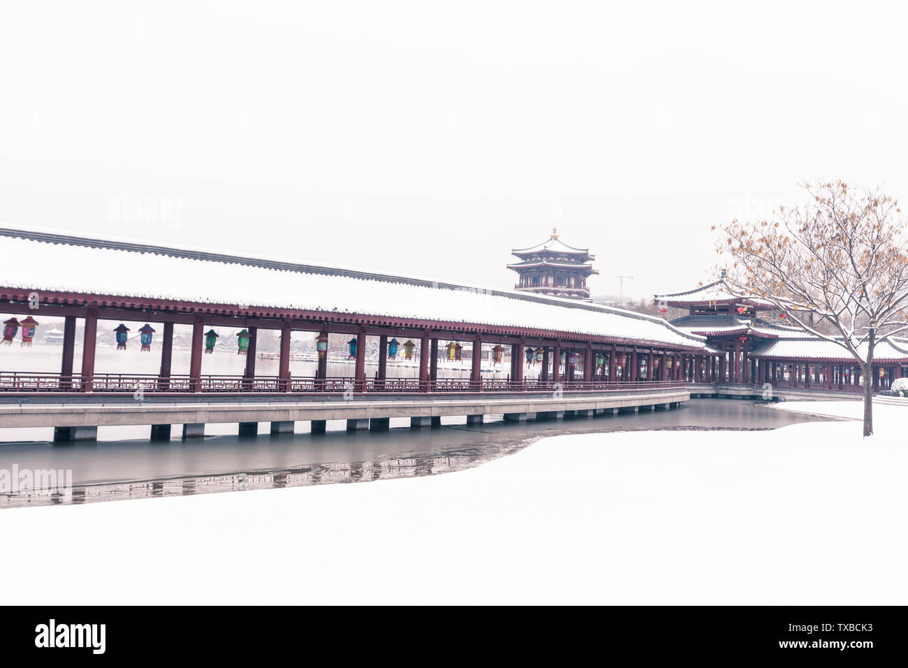 Ancient City Xi'an Qujiang Scenic Area Big Wild Goose Pagoda Furong ...