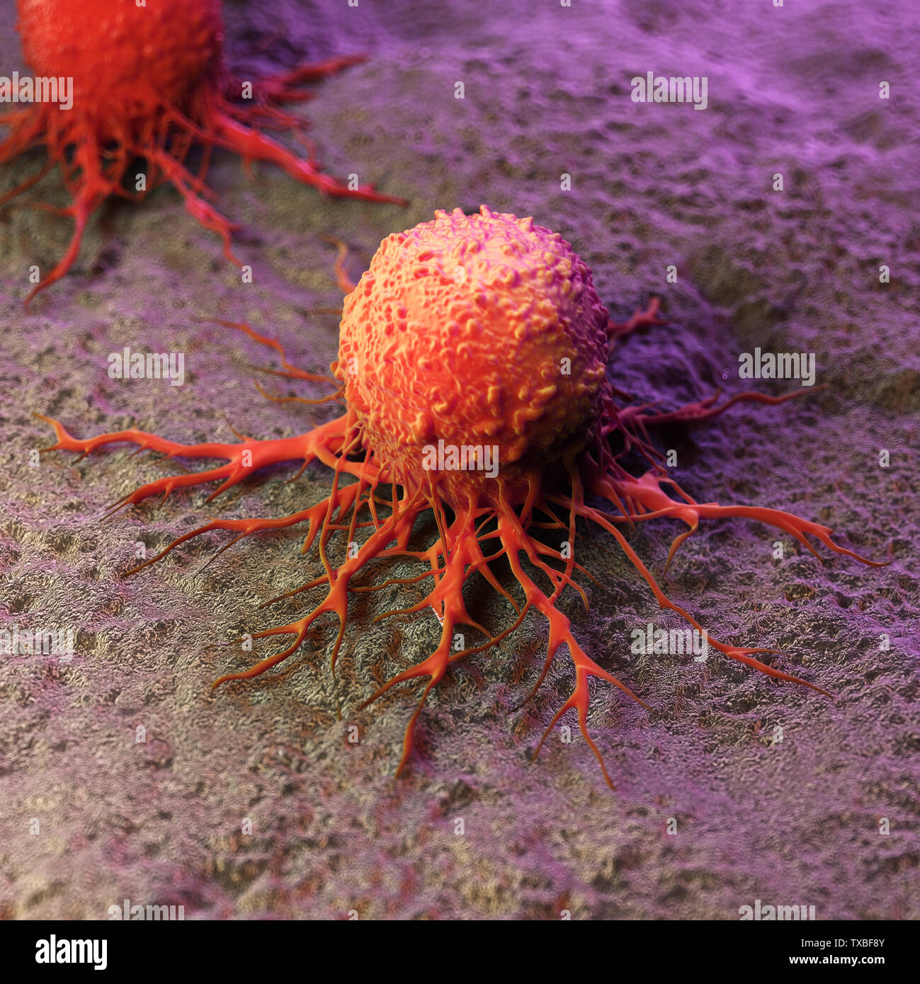 3d rendered medically accurate illustration of a cancer cell Stock ...