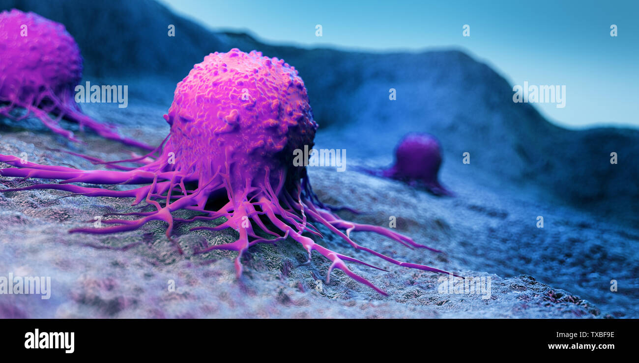 3d rendered medically accurate illustration of a cancer cell Stock ...