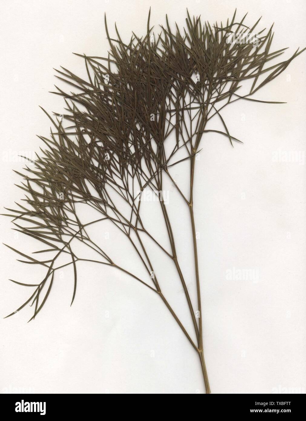 10 december 1984 hi-res stock photography and images - Alamy