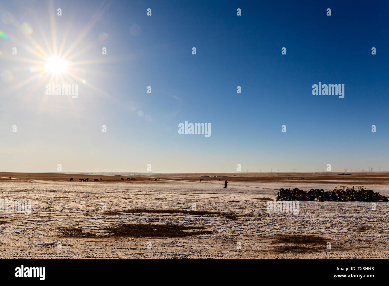Hailar prairie tribe Stock Photo - Alamy