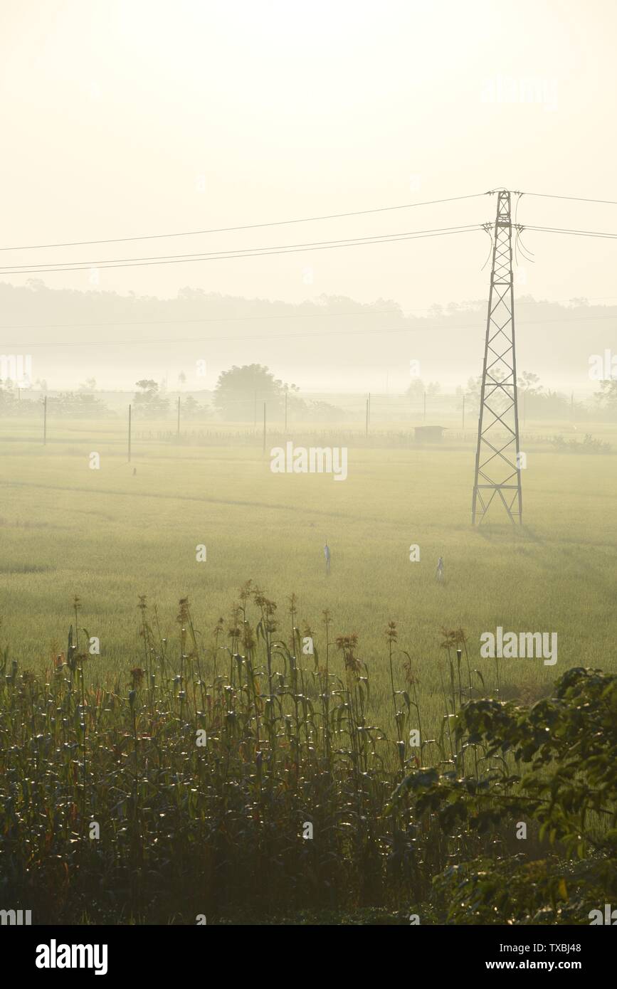 The country in the morning light Stock Photo - Alamy