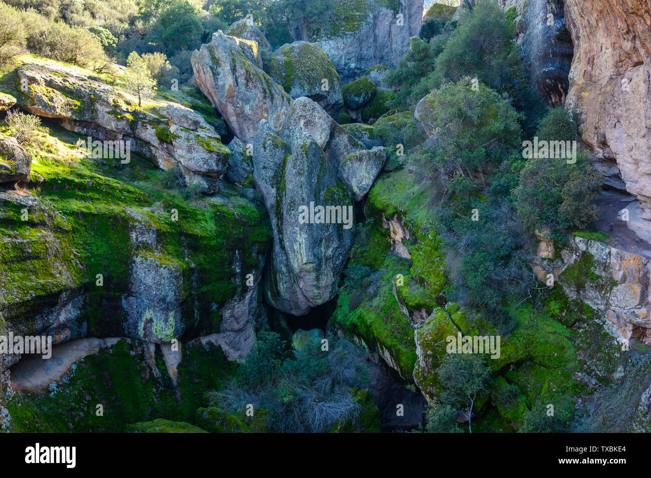 Giant Rock Formations in Pinnacles National Park alongside trail Stock ...