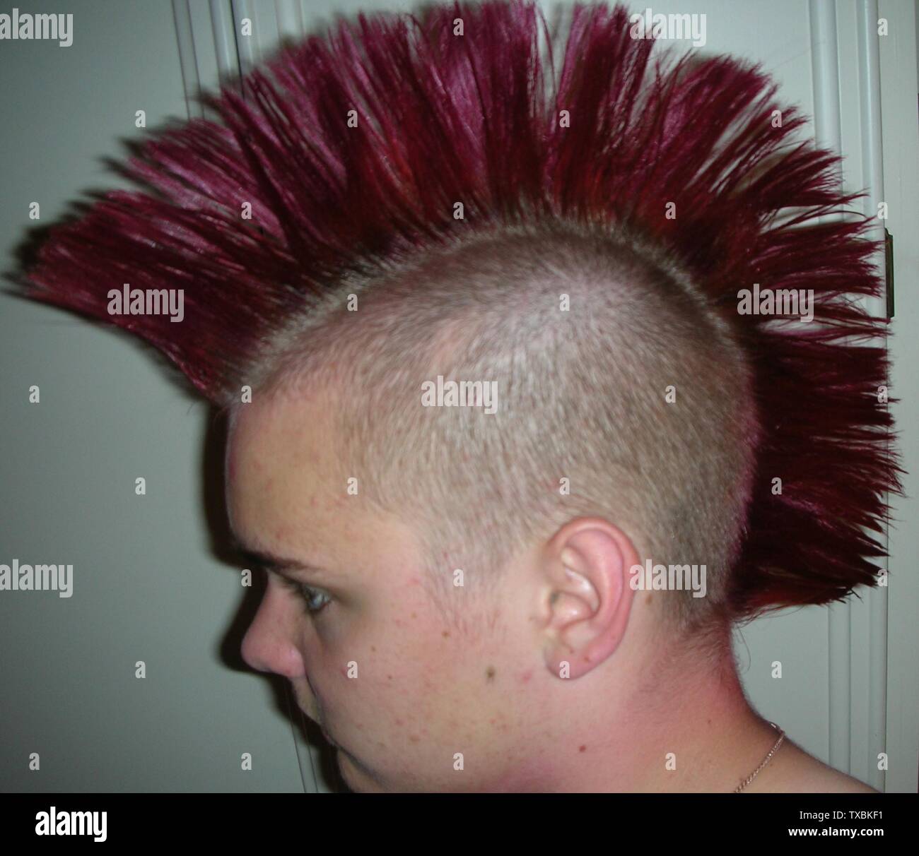 Pink mohawk hi-res stock photography and images - Alamy