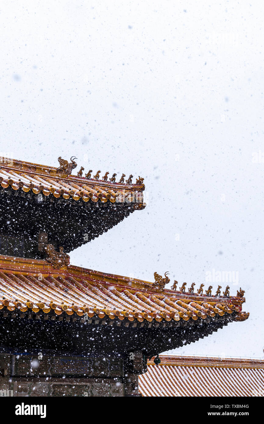 Forbidden City in Spring Snow 2019 in Beijing, China Stock Photo - Alamy
