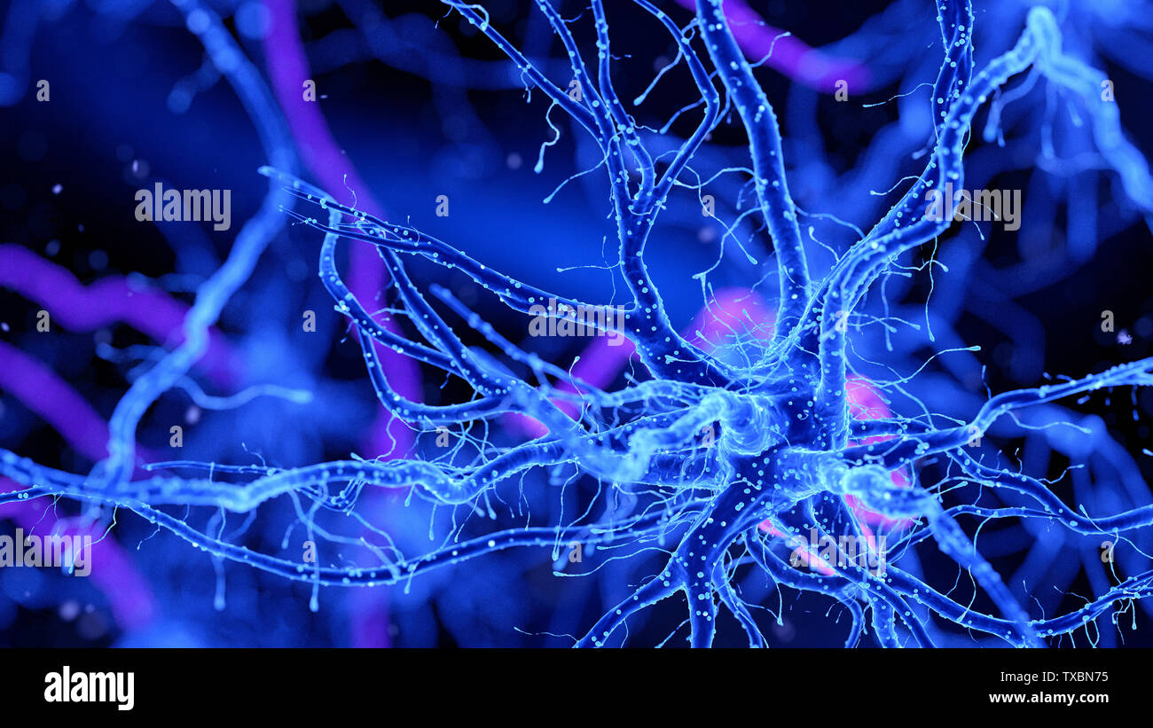 3d rendered medically accurate illustration of a nerve cell Stock Photo ...