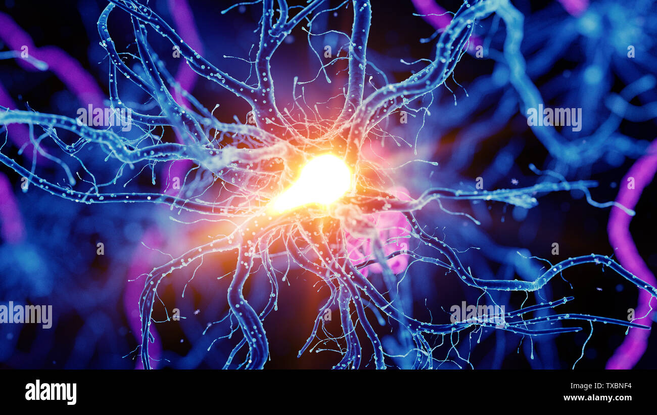 3d rendered medically accurate illustration of a nerve cell Stock Photo ...